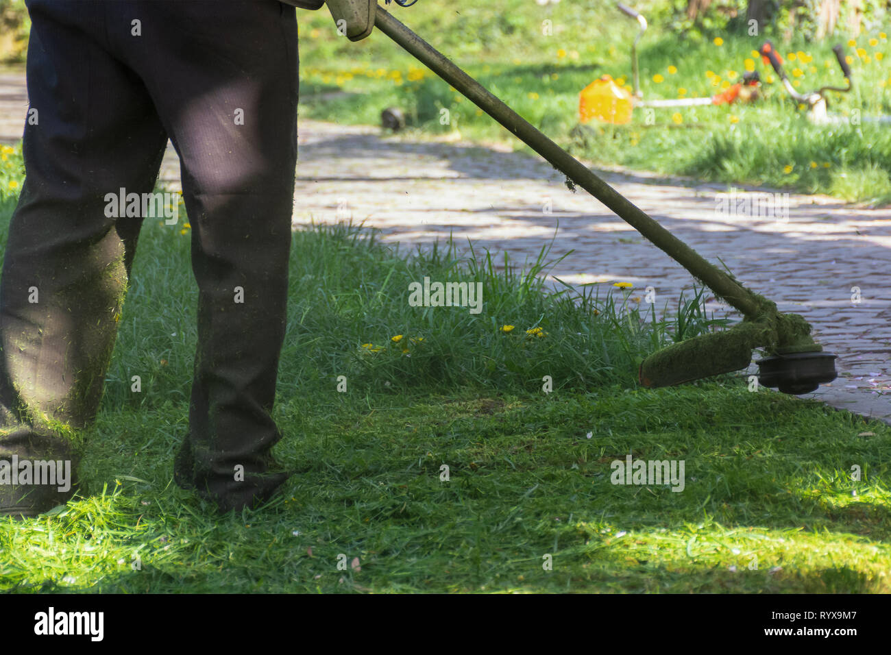 lawn mowing with brushcutter. springtime work in the park. pawed ...