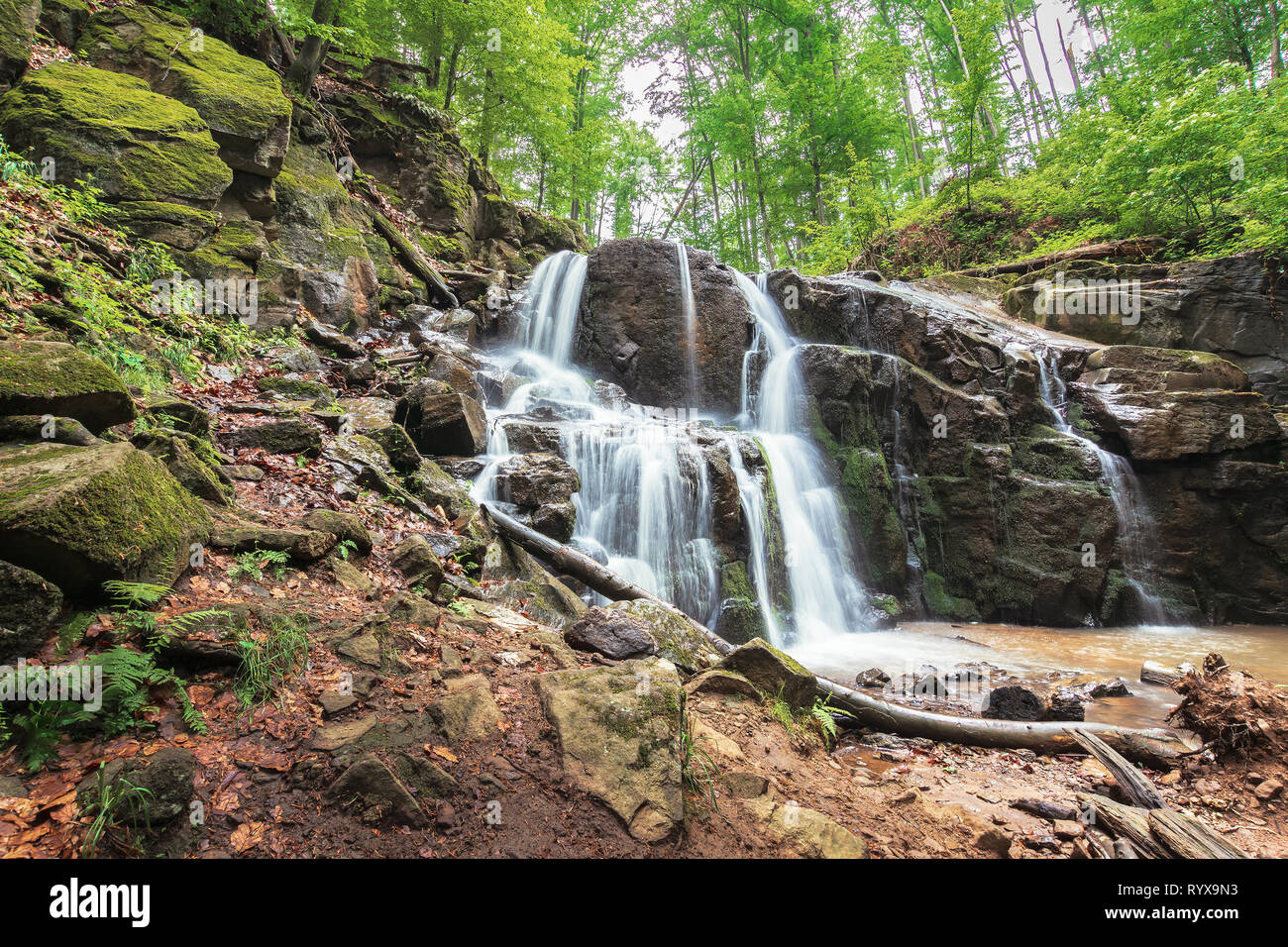waterfall on the river among forest. powerful two cascaded water flow ...