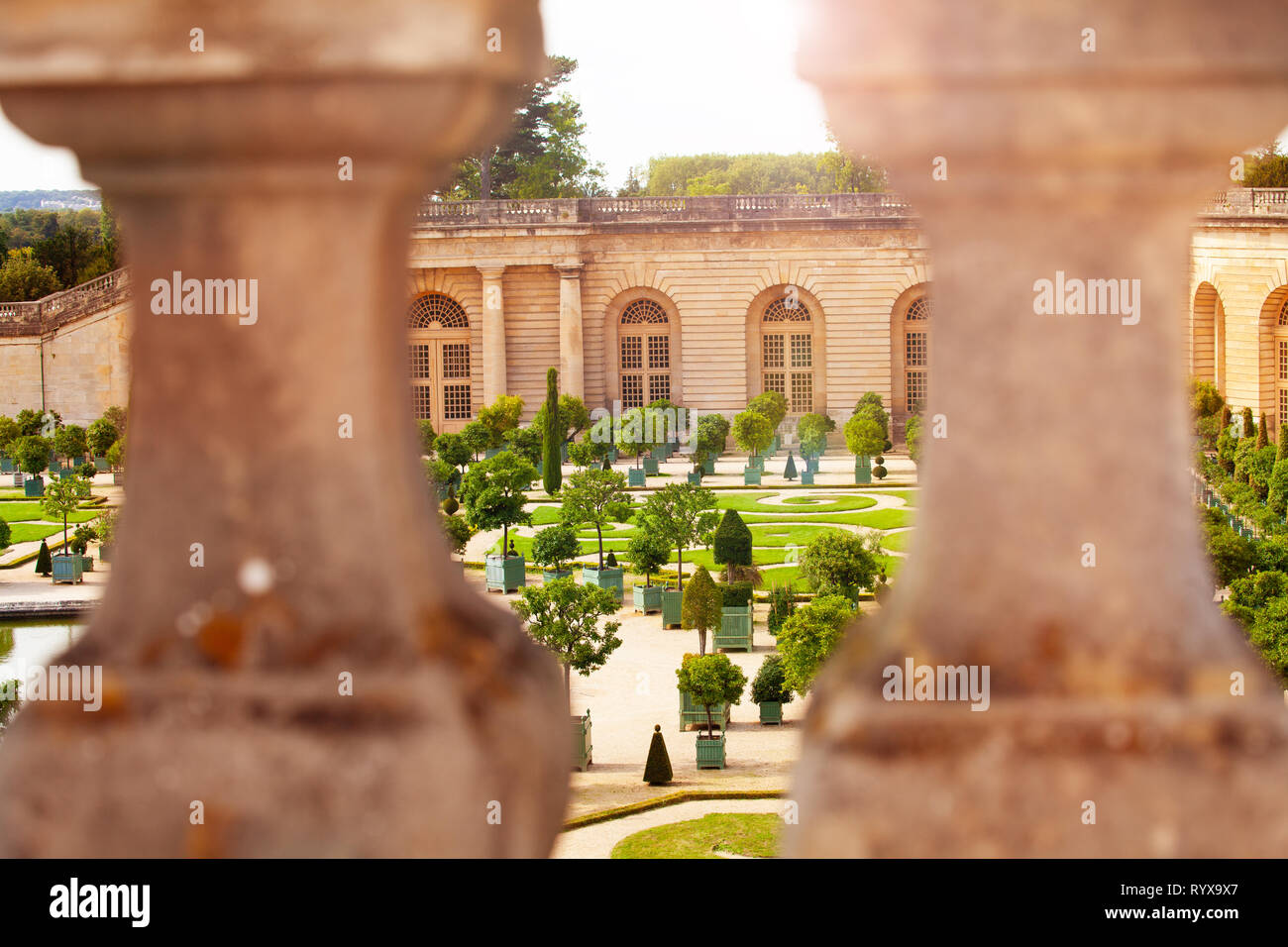 Versailles gardens with orange trees in planters viewed through ...