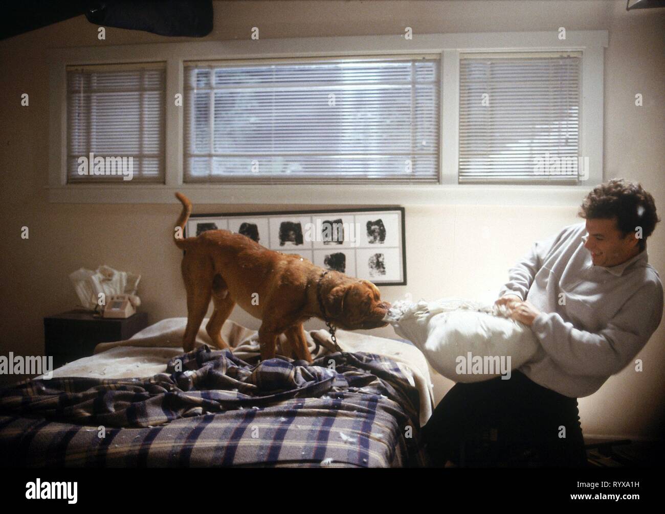 Turner and hooch 1989 hi-res stock photography and images - Alamy