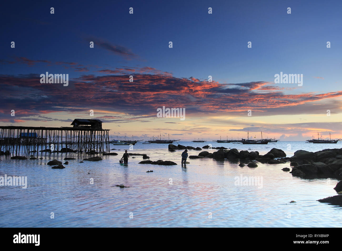 Binga hi-res stock photography and images - Alamy