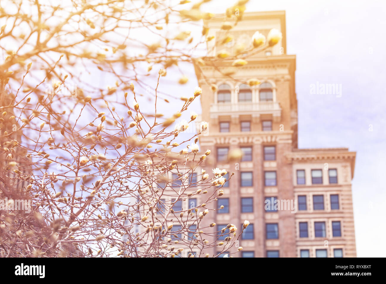 Chicago spring hi-res stock photography and images - Alamy