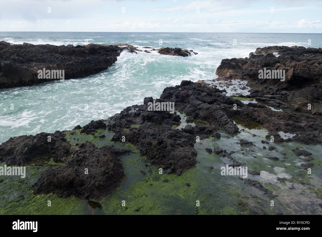 Algae growing on ocean water at Cook's Chasm near Yachats, Oregon, USA ...