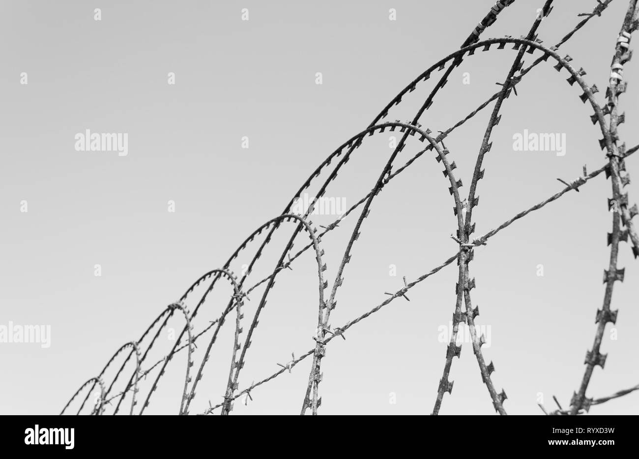 Razor wire fence wall hi-res stock photography and images - Alamy