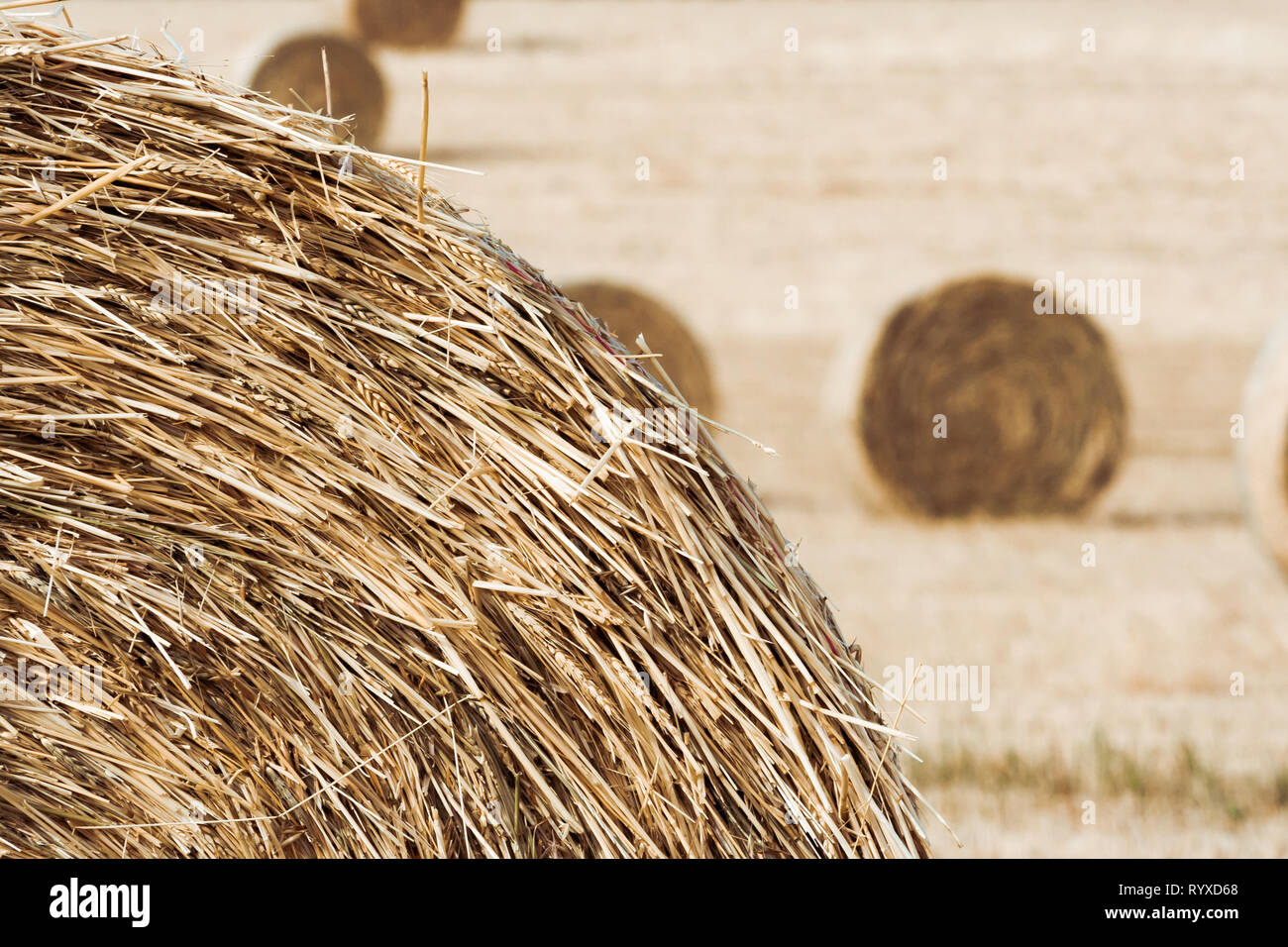 Hay Rolls In The Field High Resolution Stock Photography and Images - Alamy