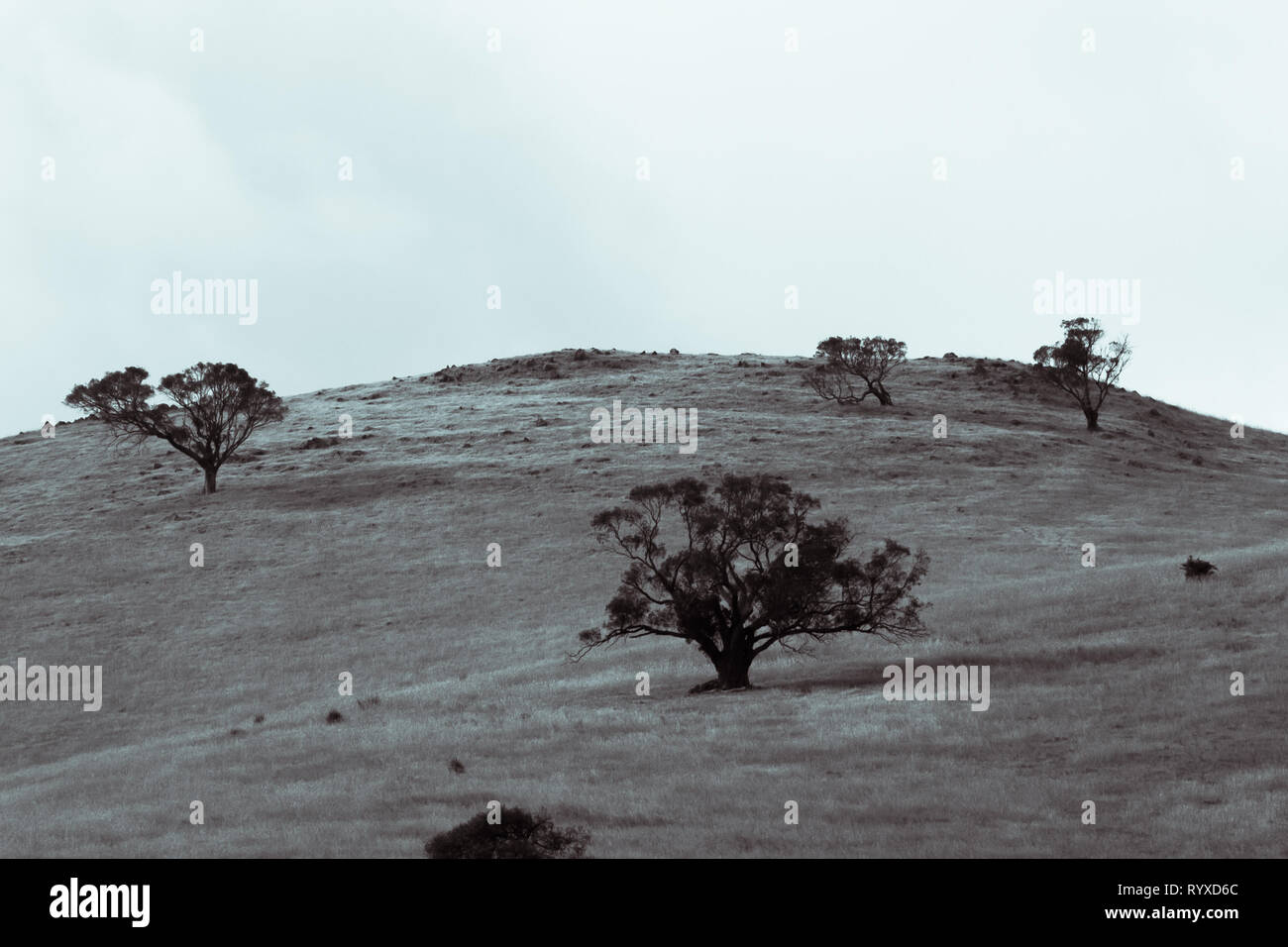 Hill with no trees hi-res stock photography and images - Alamy
