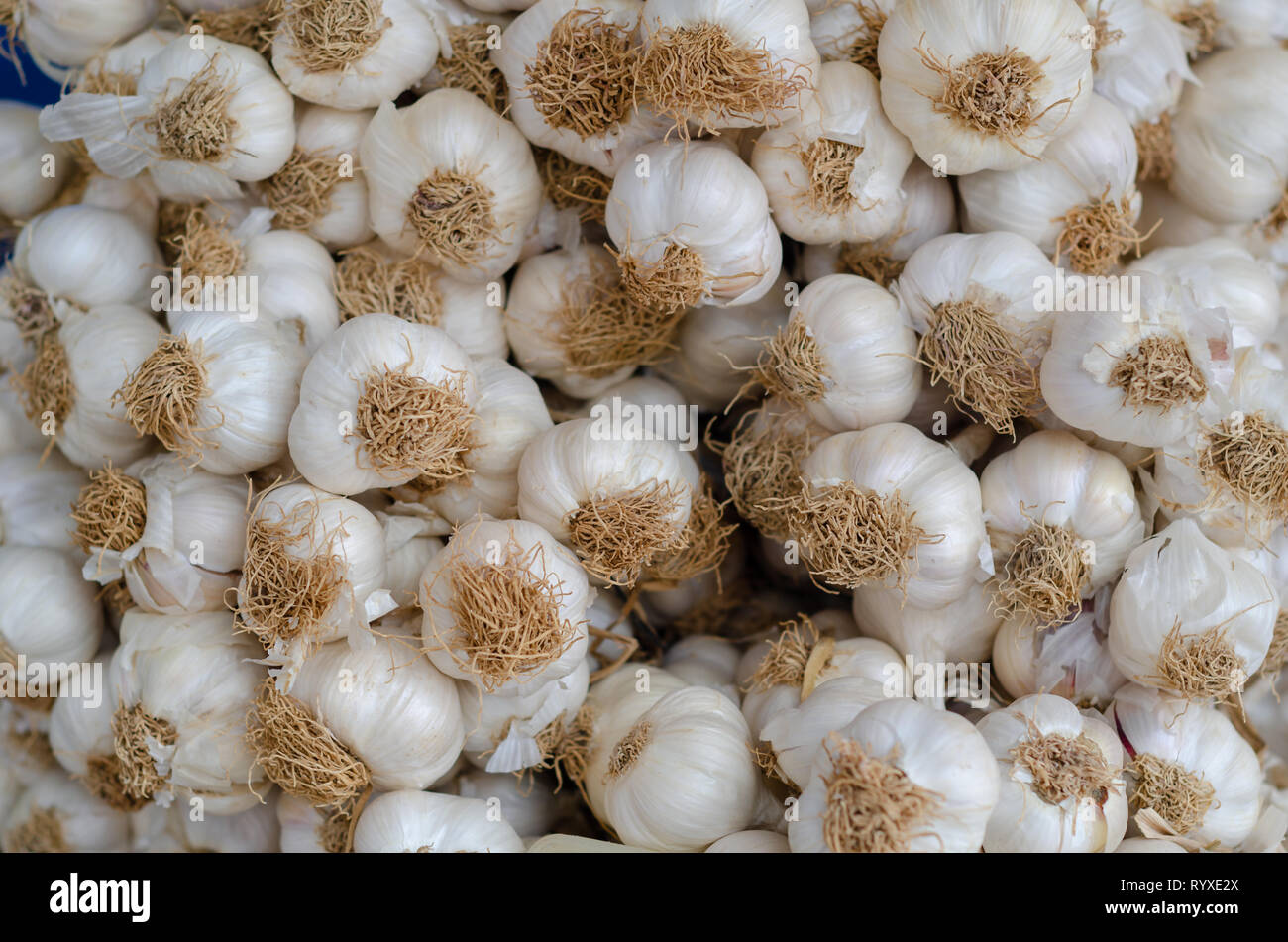 Garlic for sale in big supermarket Stock Photo - Alamy