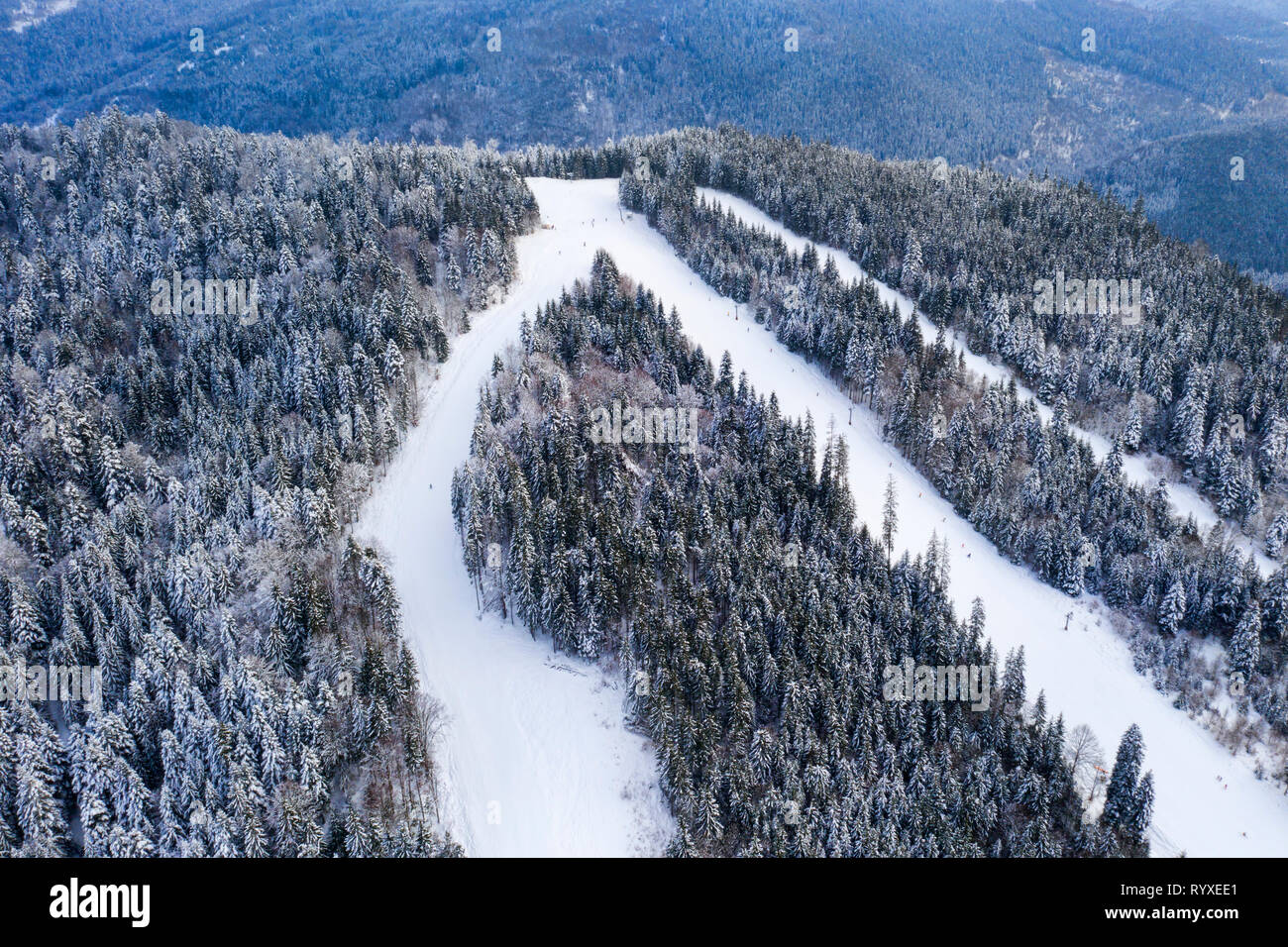 Aerial view of Borsec ski slope with frozen forest in Romania Stock ...