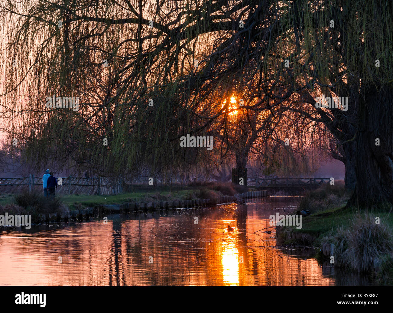 People walking with orange Winter sunset reflected on stream, England ...