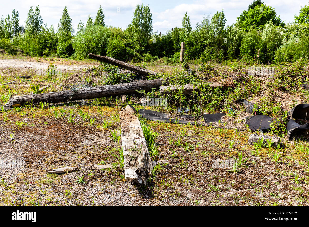 Old disused sand quarry in Doncaster, South Yorkshire Stock Photo - Alamy
