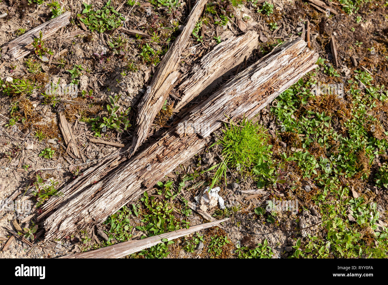 Old disused sand quarry in Doncaster, South Yorkshire Stock Photo - Alamy
