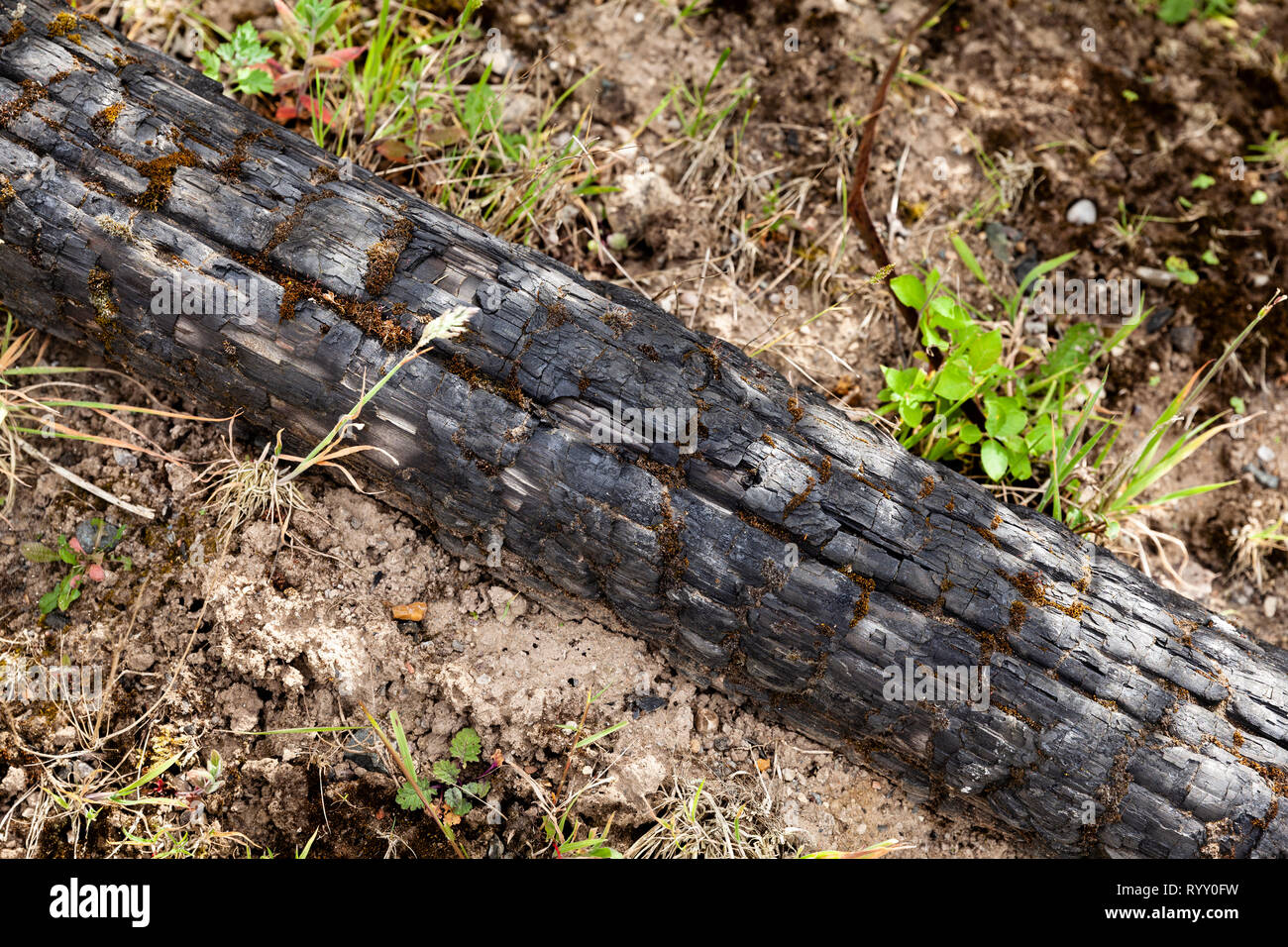 Old disused sand quarry in Doncaster, South Yorkshire Stock Photo - Alamy