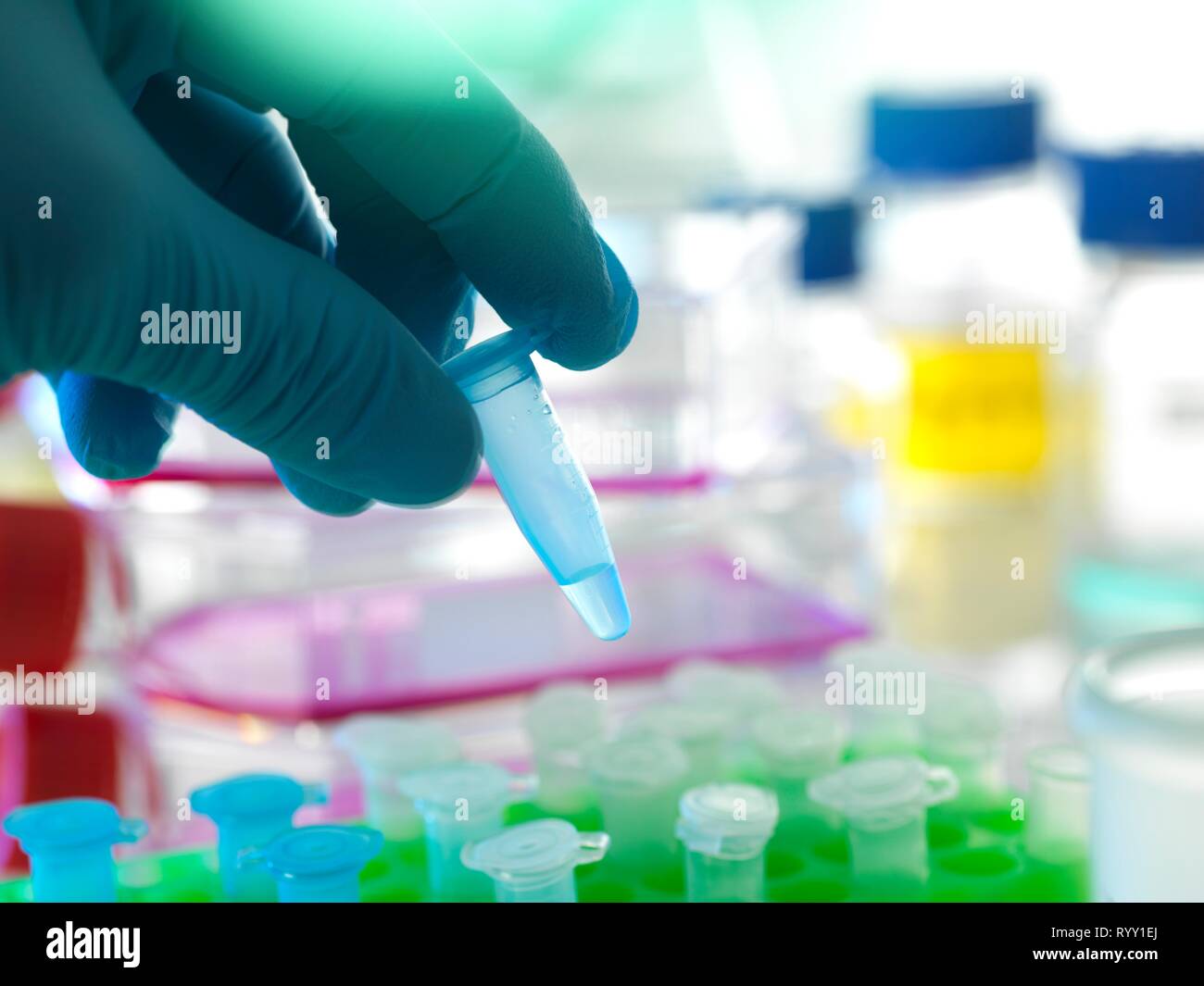 Biotech experiment hi-res stock photography and images - Alamy