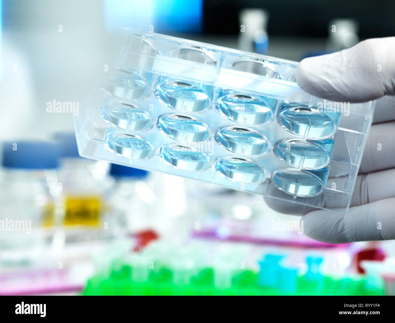 Scientist holding samples in a multi well plate during a experiment in ...