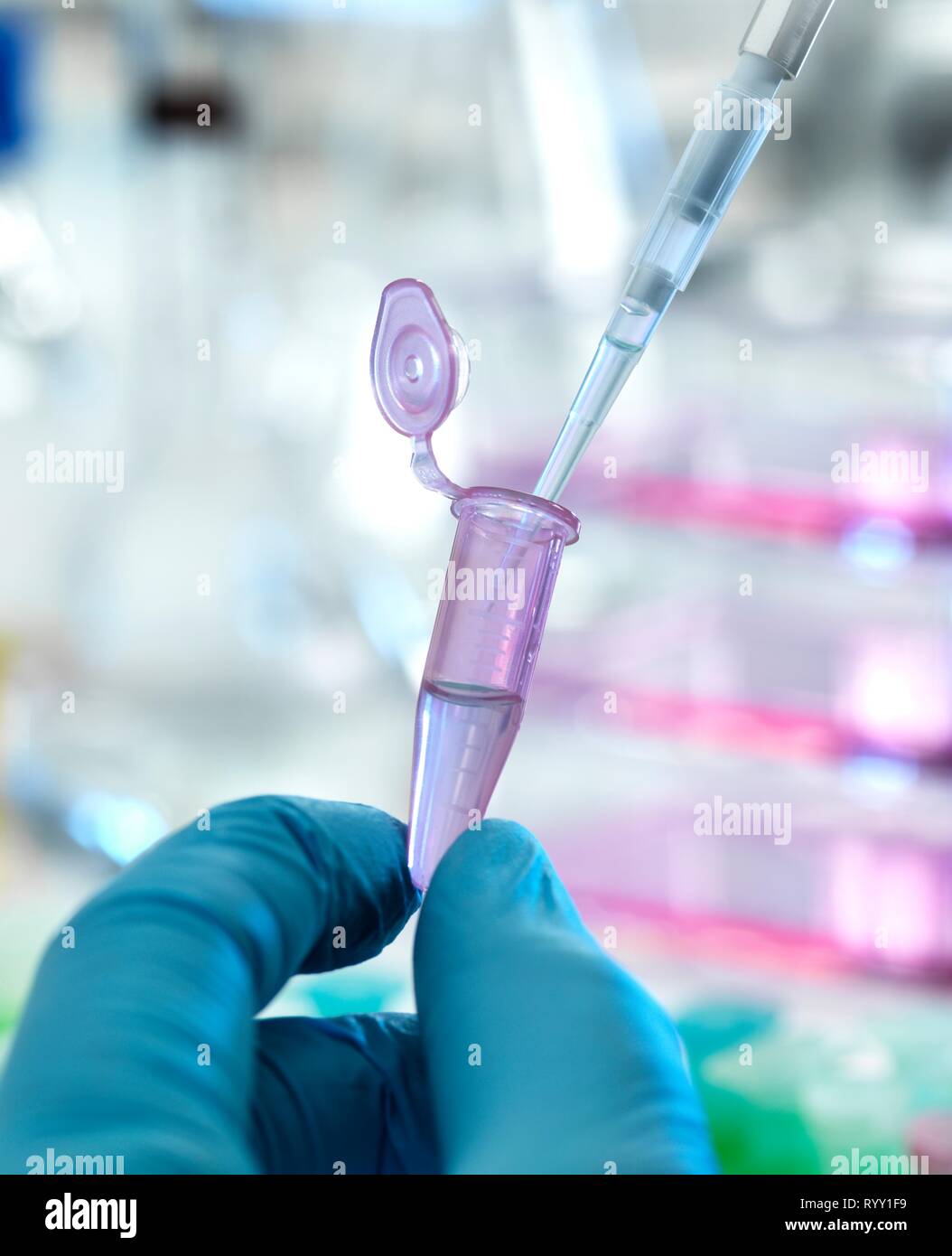 Scientist pipetting a sample into a eppendorf tube during an experiment ...