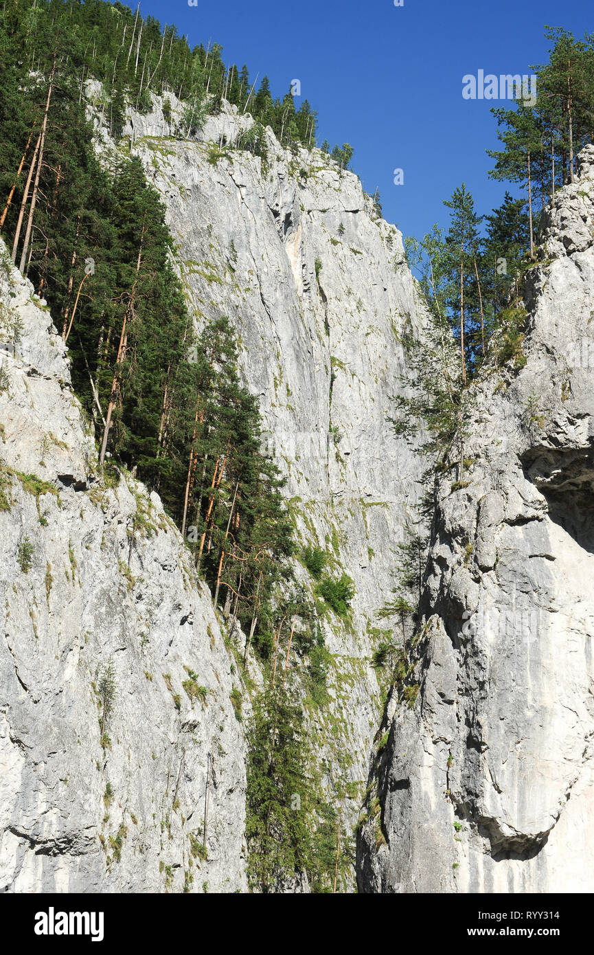 Cheile bicazului hasmas hi-res stock photography and images - Alamy