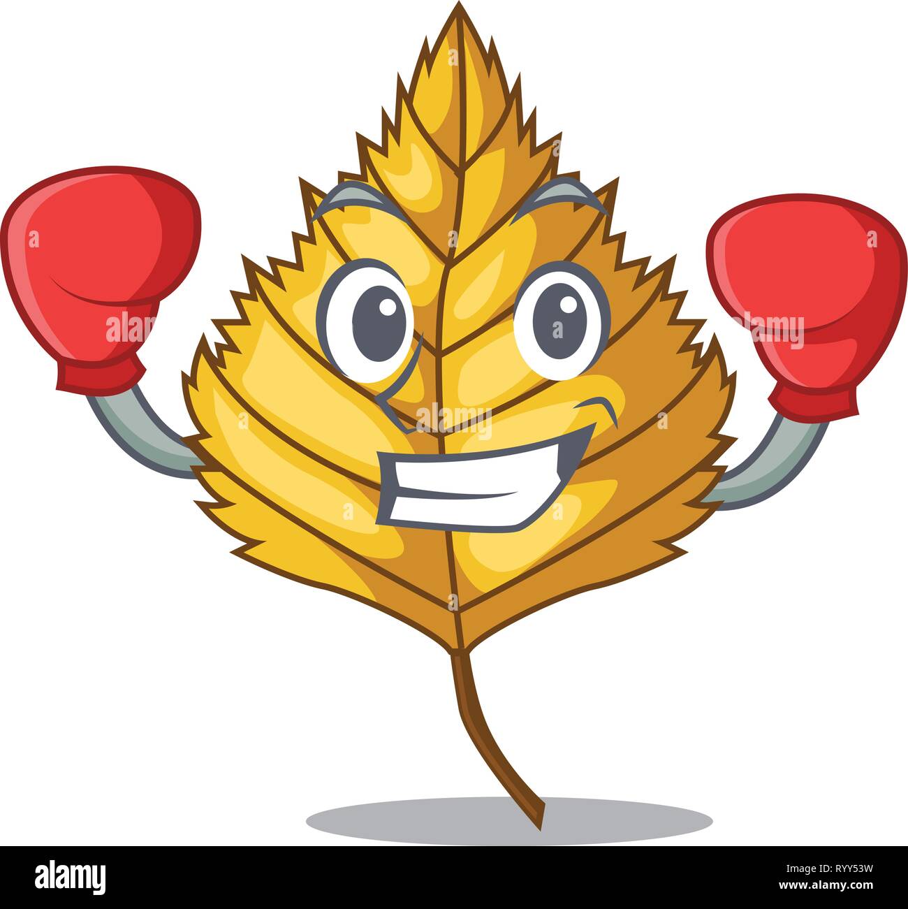 Betula pendula leaves Stock Vector Images - Alamy