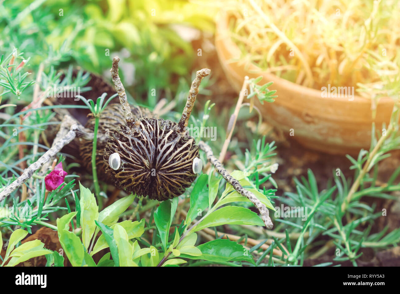 An artificial ant statue made from coconut, decorated on trees in the ...