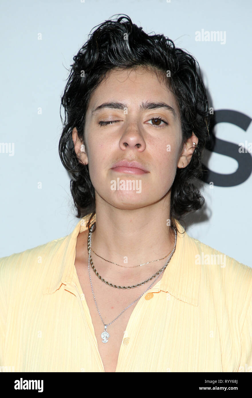 STARZ TCA Red Carpet Event - Arrivals Featuring: Roberta Colindrez ...
