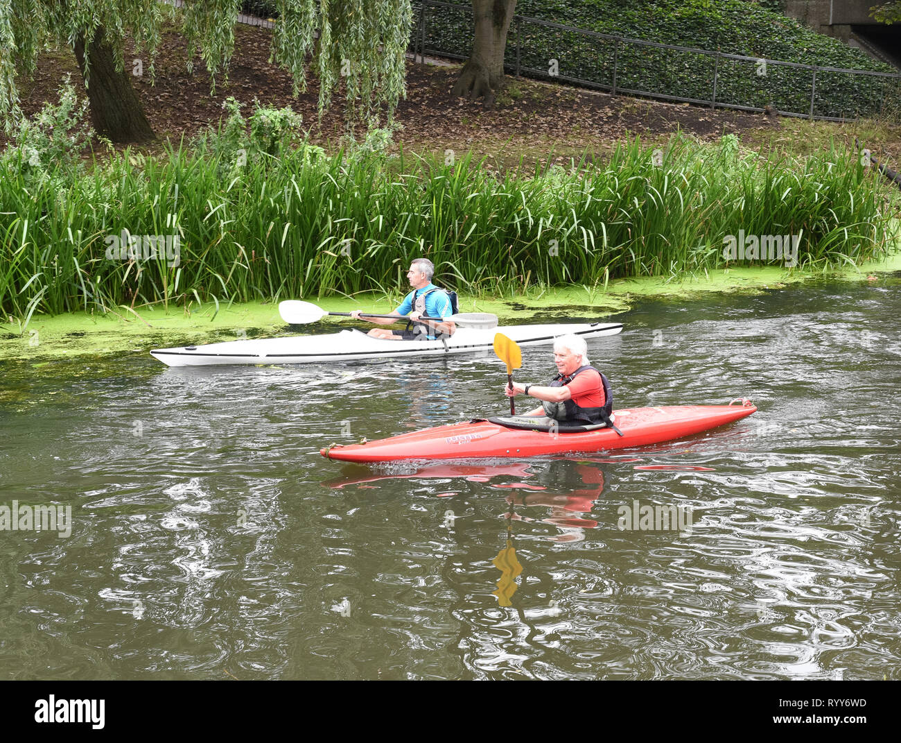 River chelmer canoe hi-res stock photography and images - Alamy