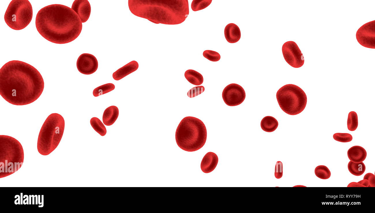 Red Blood Cells Flowing Through Circulatory System Stock Photo - Alamy