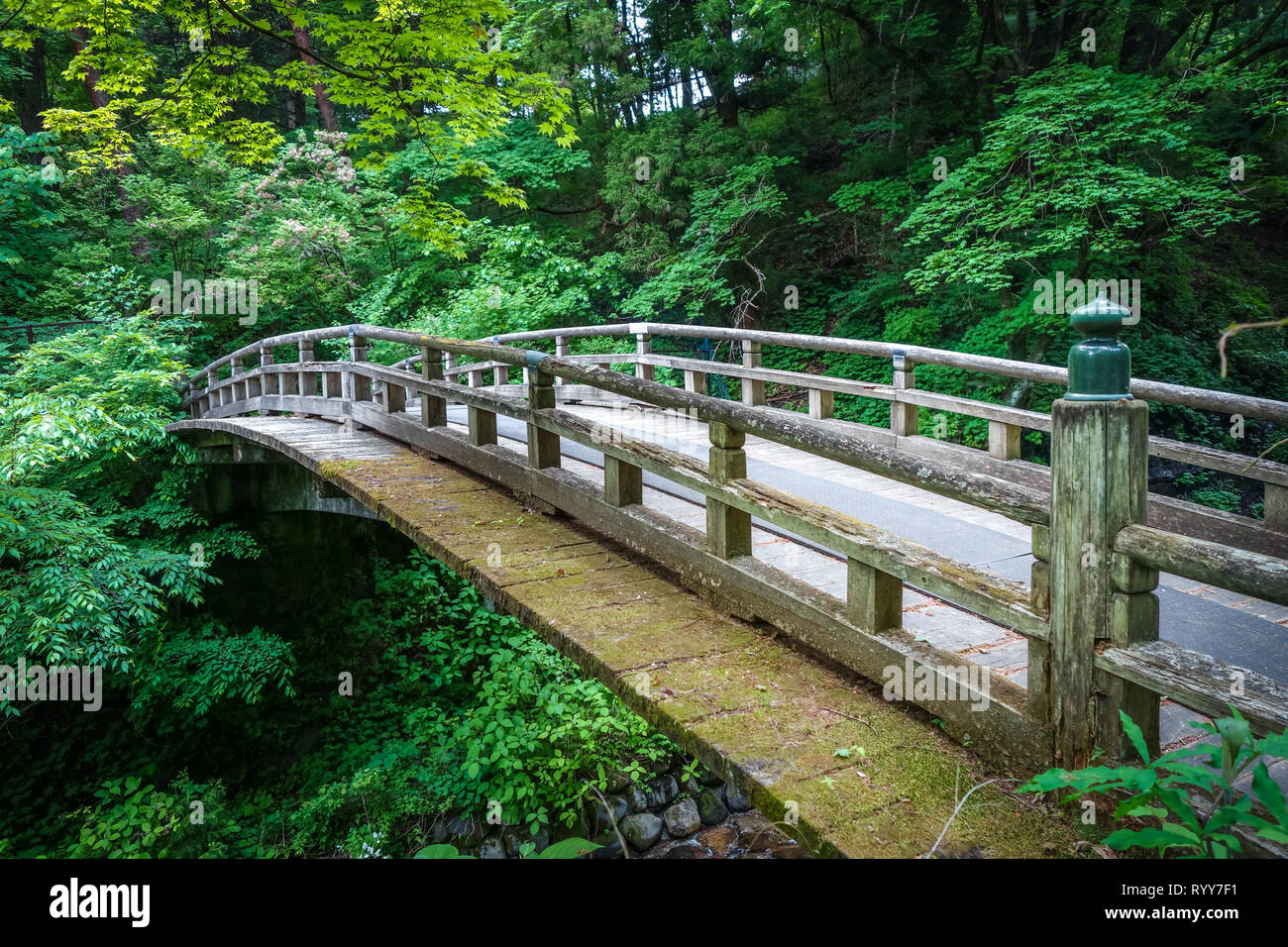 Traditional japanese wooden bridge in botanical garden, Nikko, Japan ...