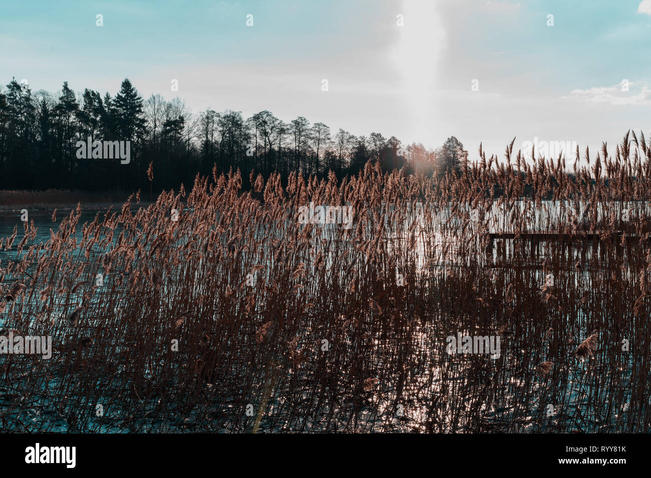 Masuria people hi-res stock photography and images - Alamy