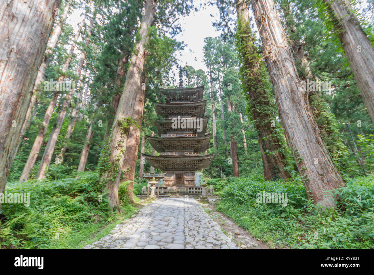 Haguro five storied pagoda hi-res stock photography and images - Alamy