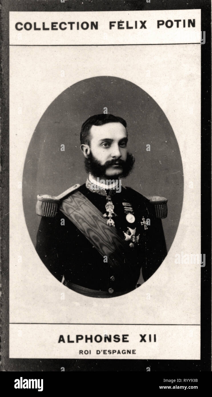 Photographic Portrait Of Alphonse XII Roi Despagne From Collection ...