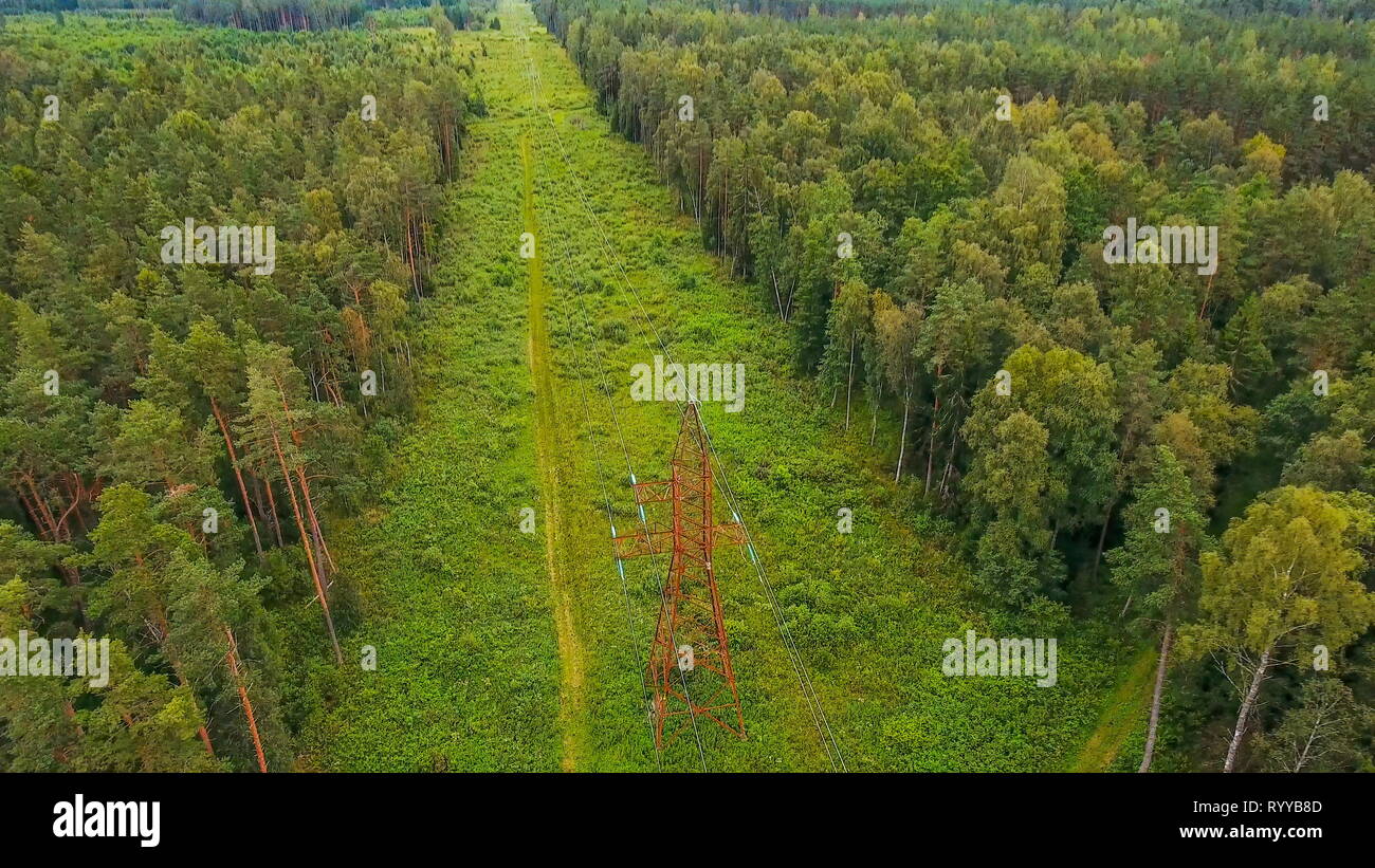 The aerial shot of the forest with lots of trees there is also an ...