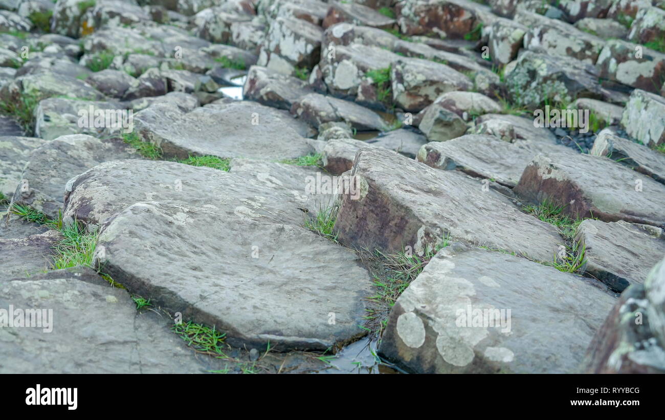 40000 interlocking basalt columns hi-res stock photography and images ...