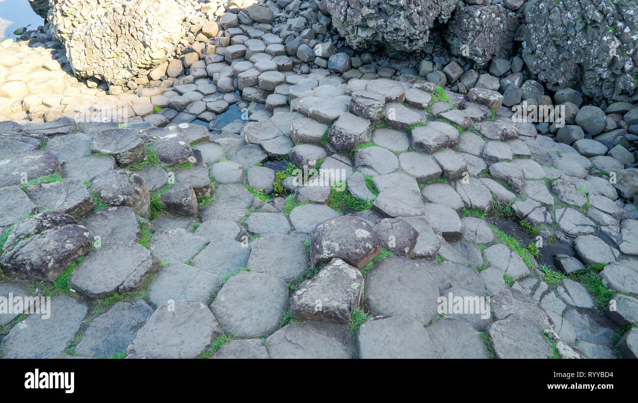 Square shaped rocks in the Giants Causeway one of the tourist ...