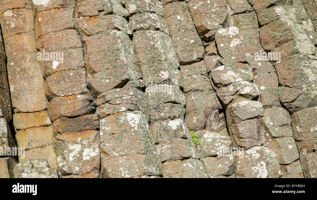 Closer look of the rock formation in the area of Giants Causeway in the ...