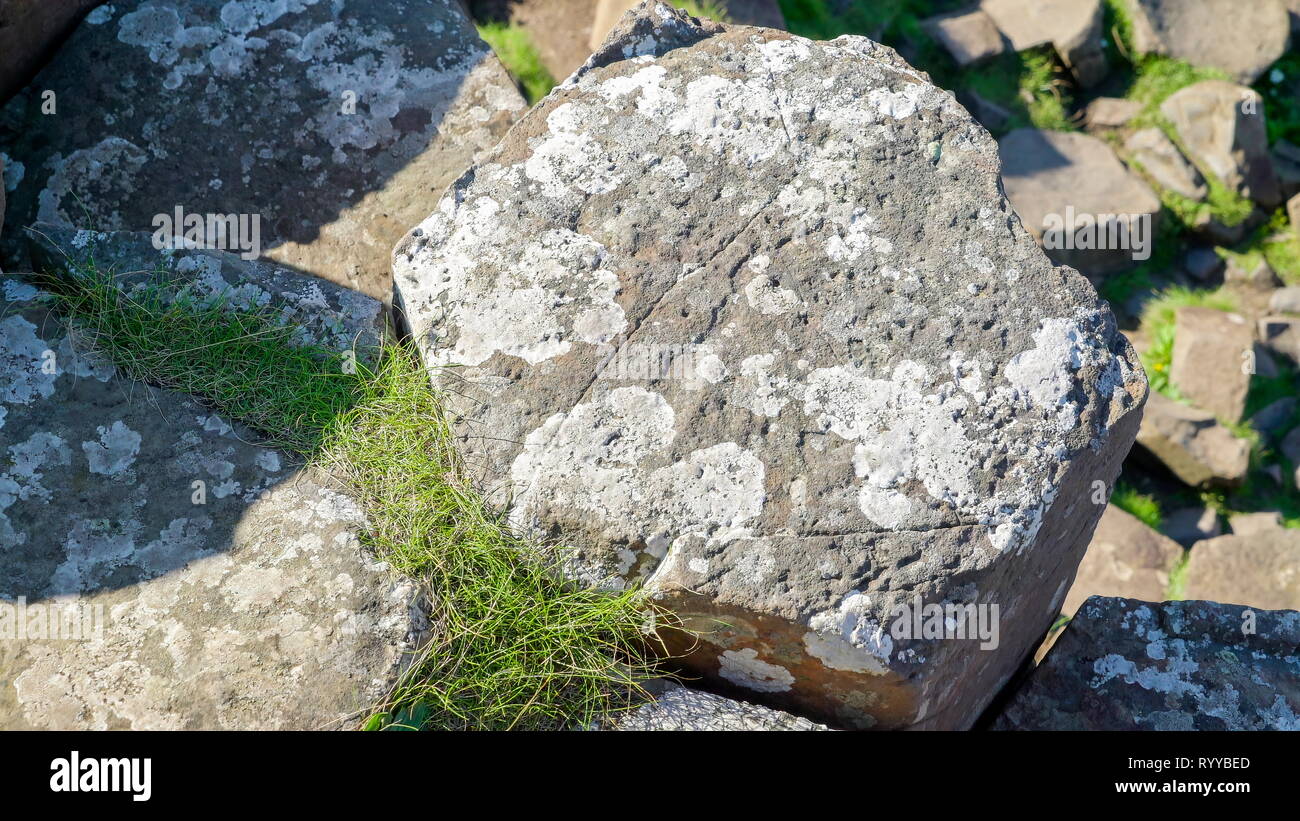 One of the many big rocks in the columns in the Giants Causeway area ...