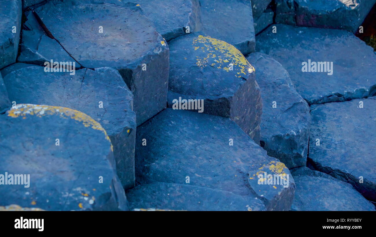 Tall giants hi-res stock photography and images - Alamy