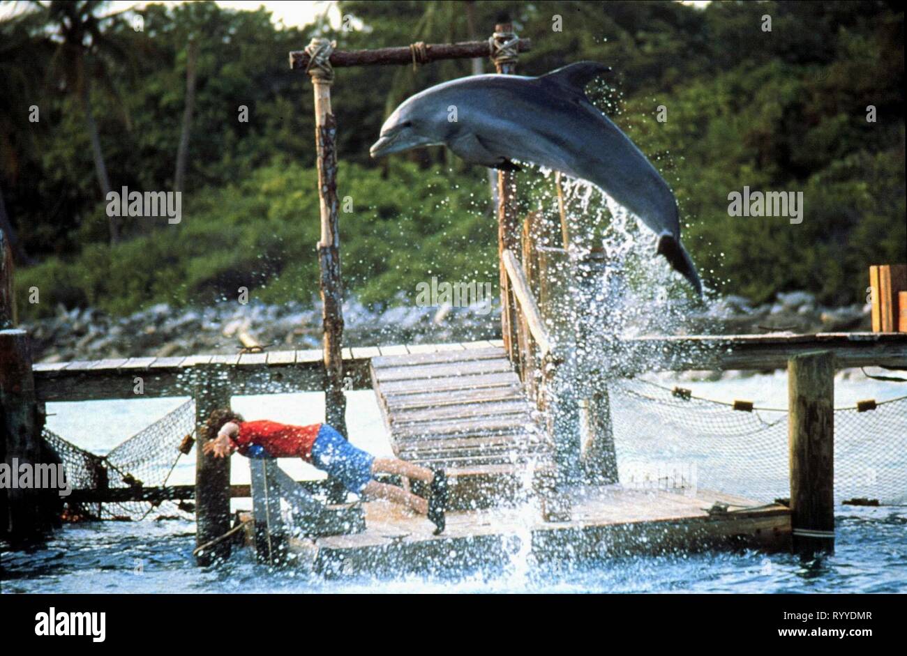 Flipper The Dolphin High Resolution Stock Photography and Images - Alamy