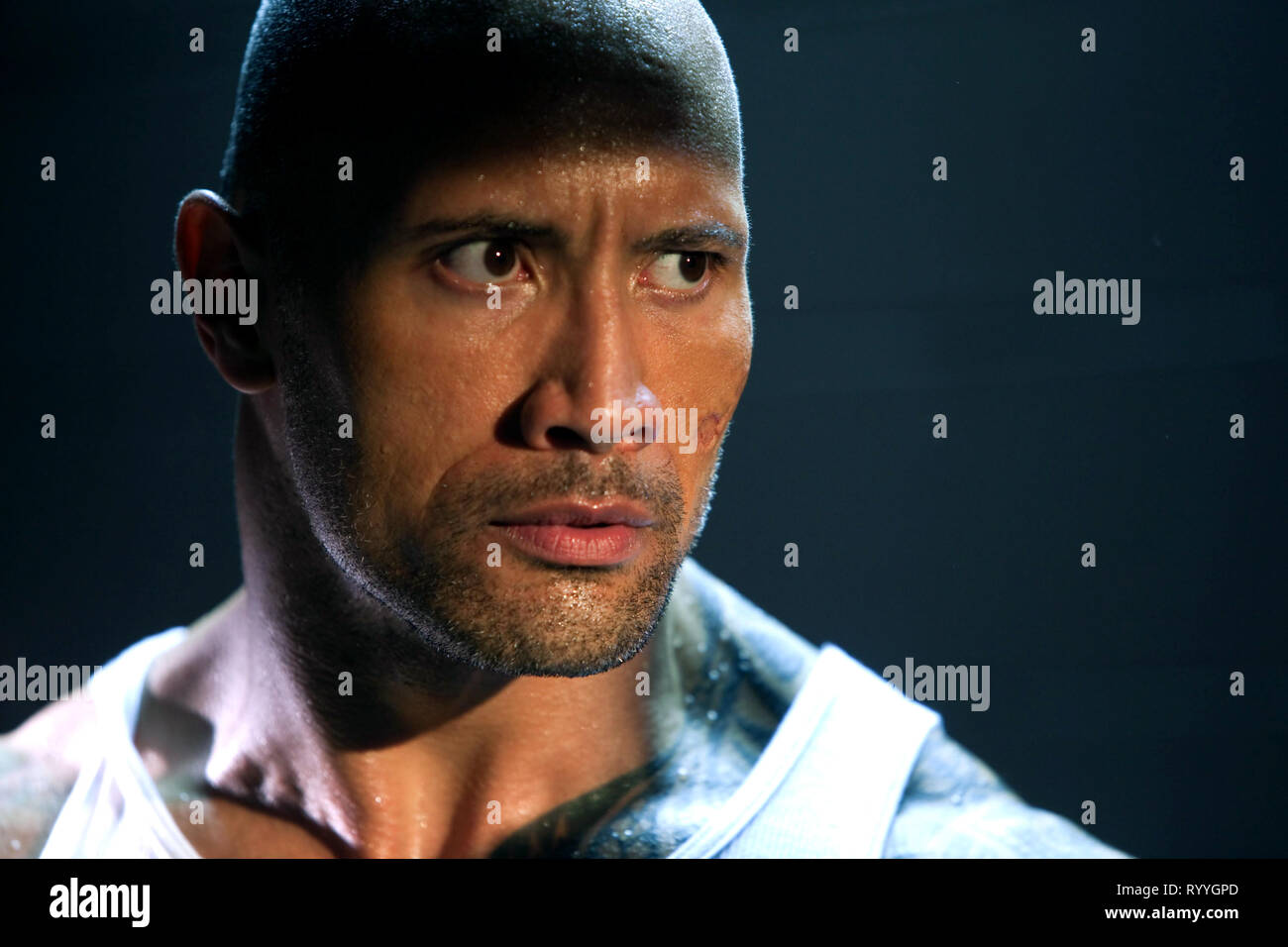 Dwayne Johnson Portrait High Resolution Stock Photography and Images ...