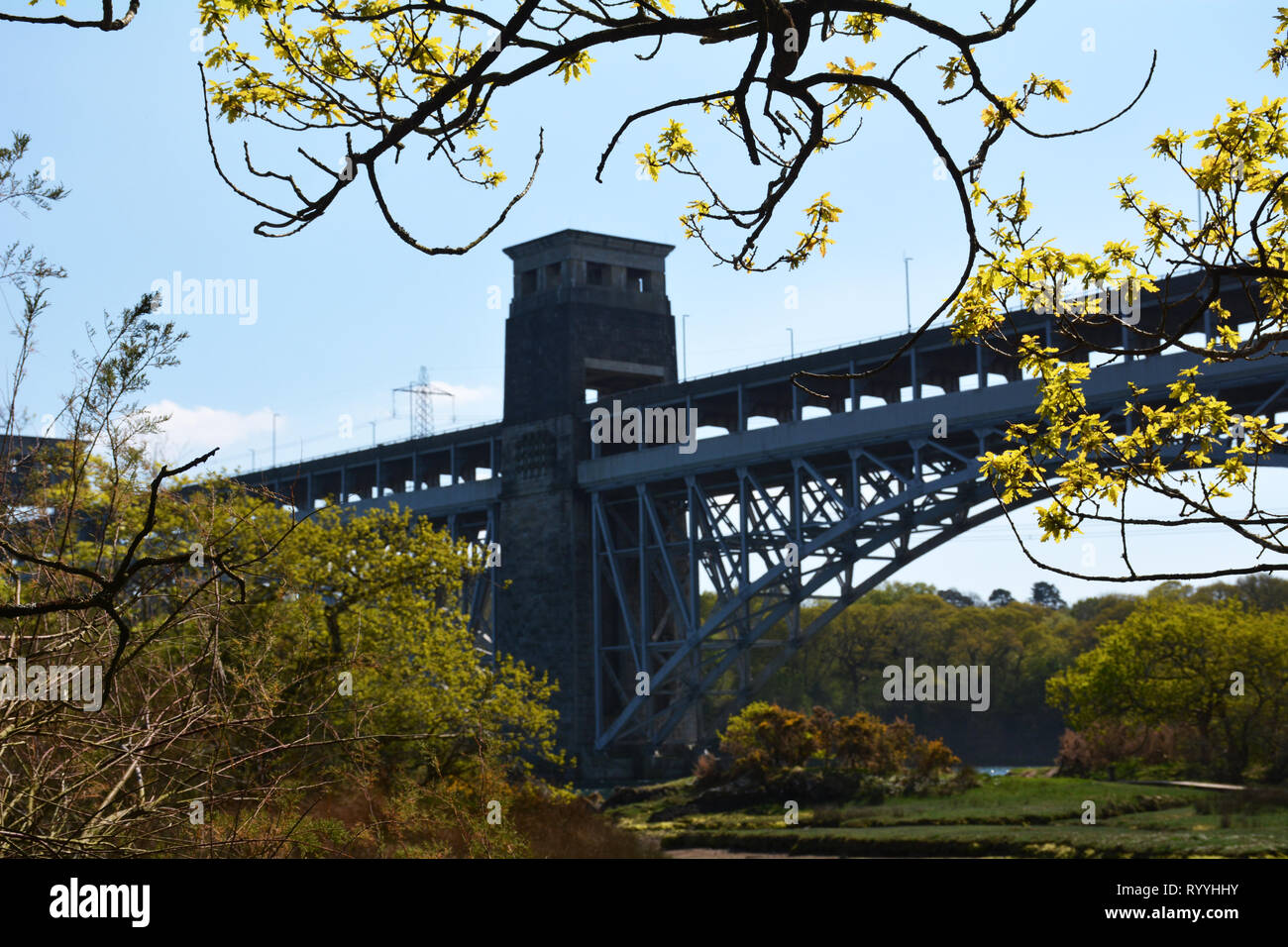 Britannia bridge through the trees on Anglesey in North Wales Stock ...