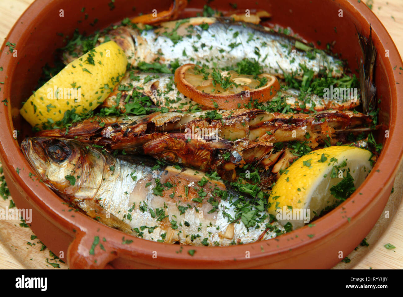 Sardine gb hi-res stock photography and images - Alamy
