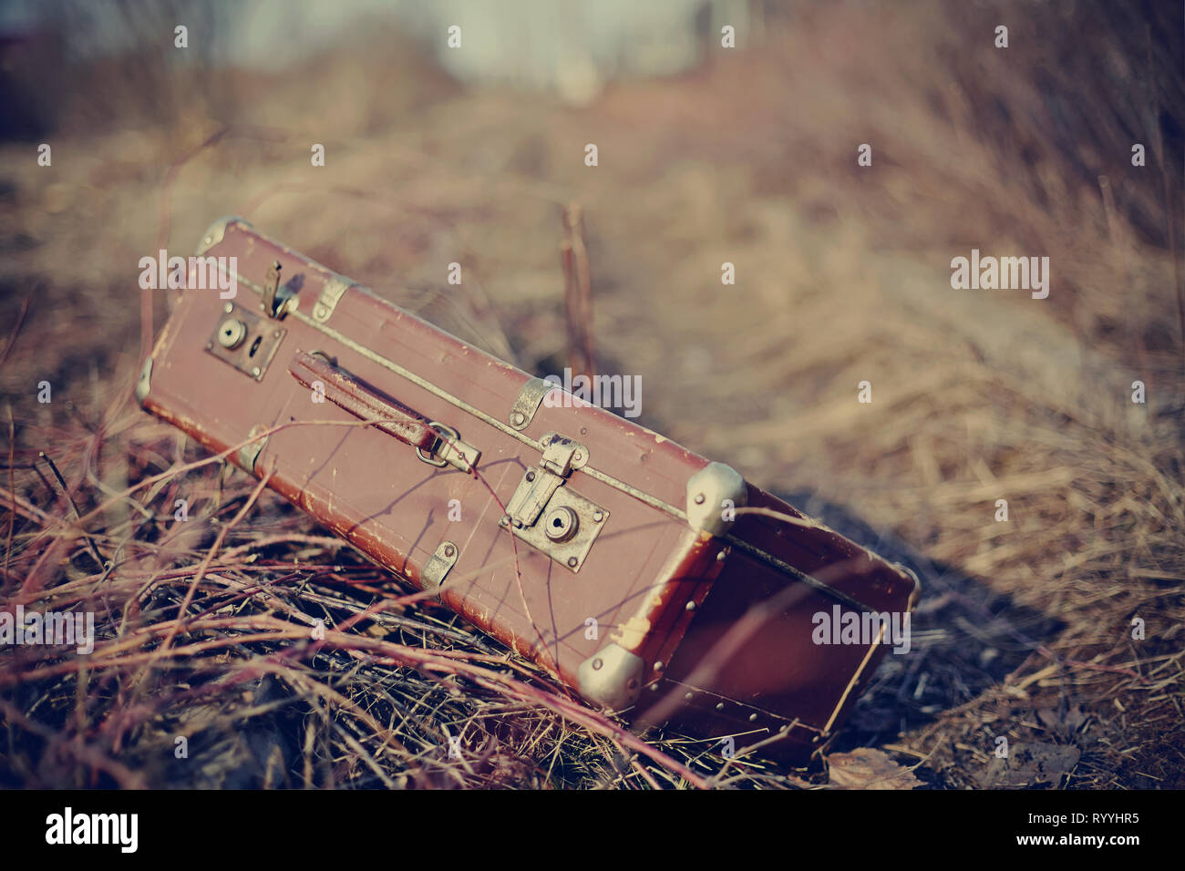 Old fashioned forgotten a suitcase, lie forgotten in a faded grass ...