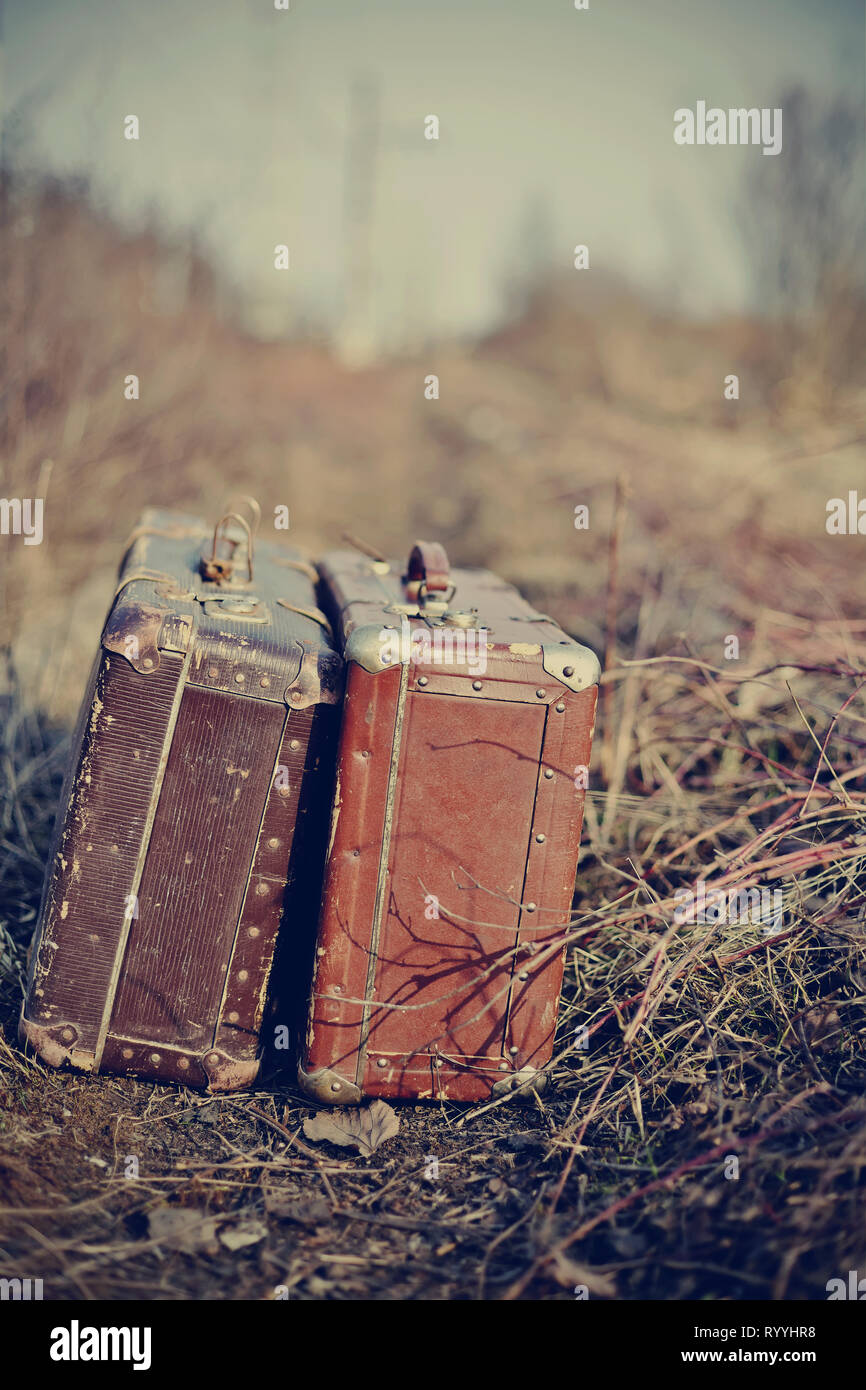 Two old vintage suitcases stand among a faded grass Stock Photo - Alamy