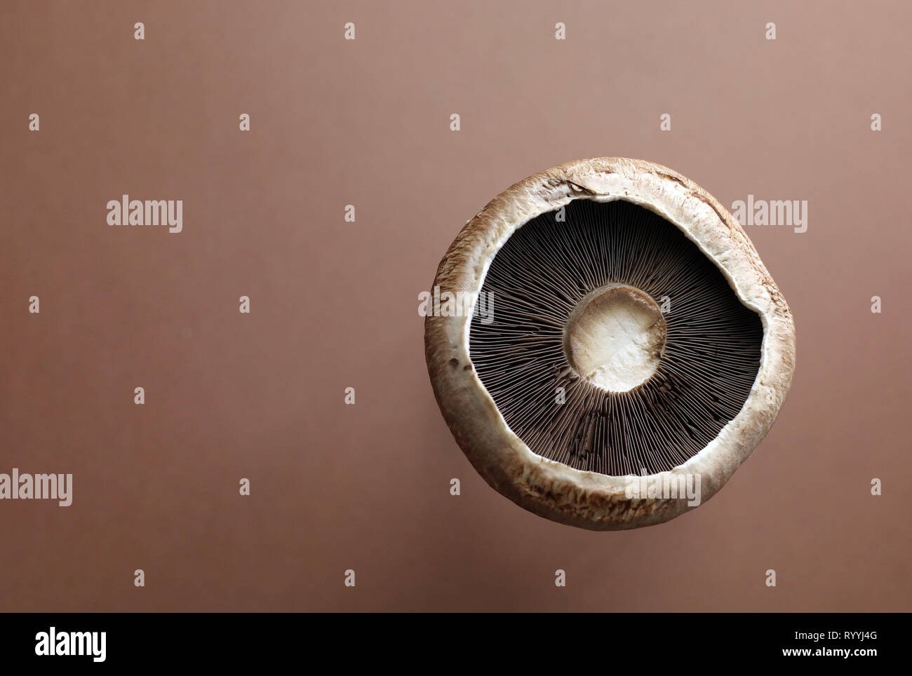 Fresh raw portobello mushrooms isolated on brown background. Top view ...