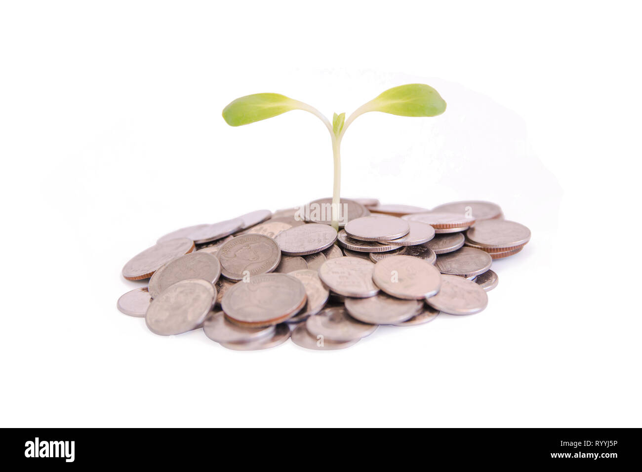 Concept savings, Green growing sprout on money stack isolated on white ...