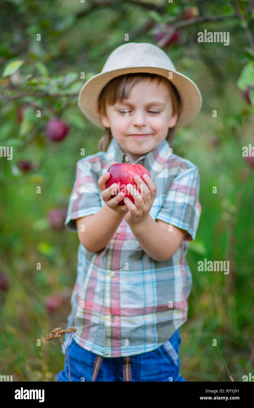 Hand child kid boy childhood garden hi-res stock photography and images ...