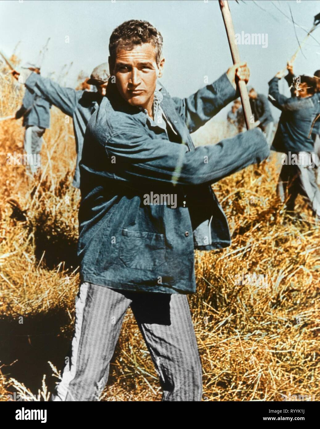 Should criminals be disqualified for government assistance? | TexAgs