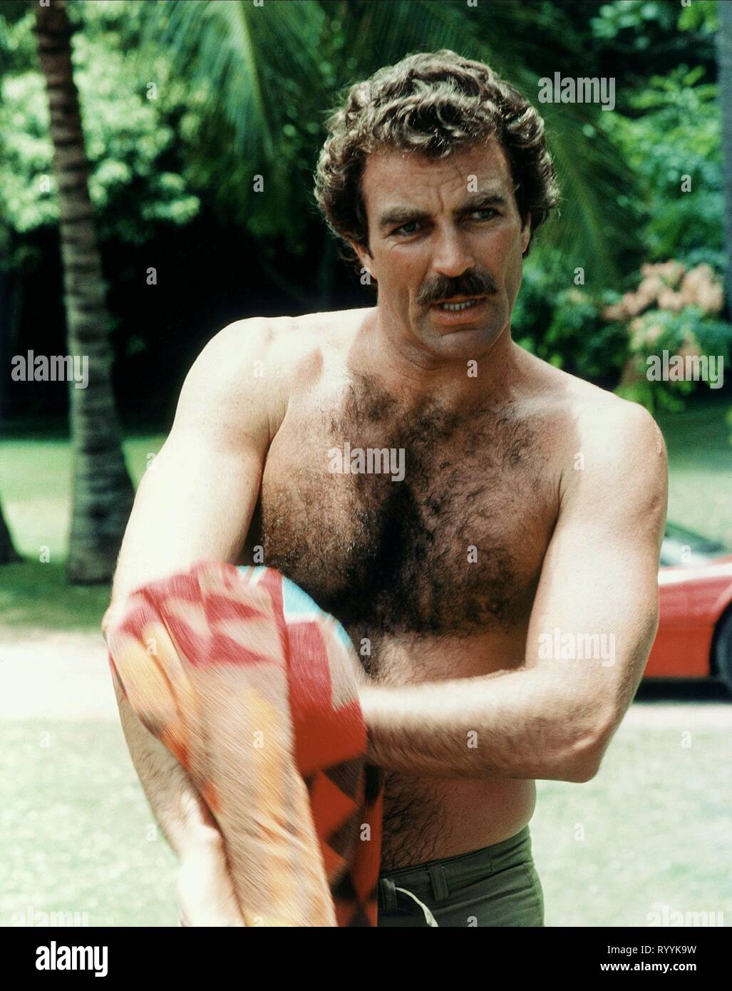 TOM SELLECK, MAGNUM P.I., 1980 Stock Photo - Alamy TOM SELLECK, MAGNUM P.I., 1980 Stock Photo - Alamy