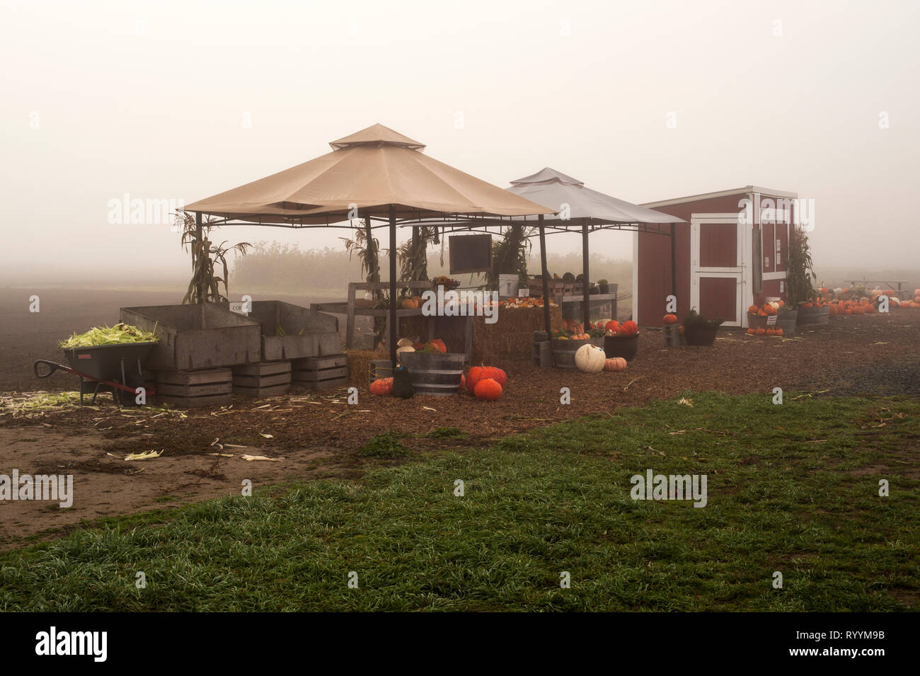 Washington state farm stand hi-res stock photography and images - Alamy