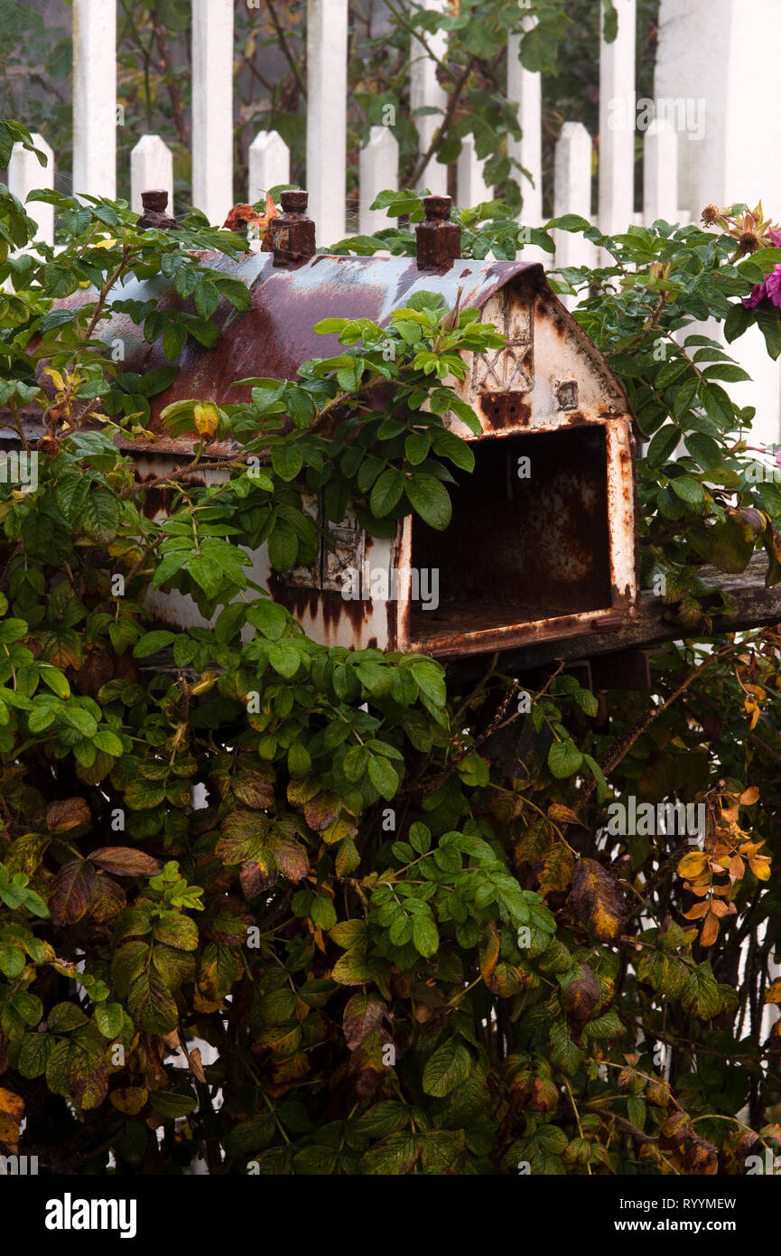 Sunrise with old rusty mailbox along country road and white picket ...