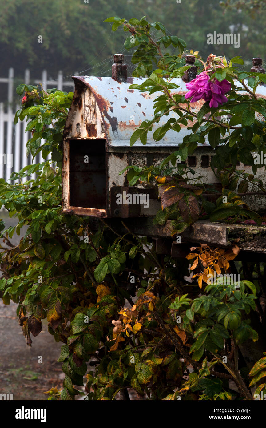 Sunrise with old rusty mailbox along country road and white picket ...