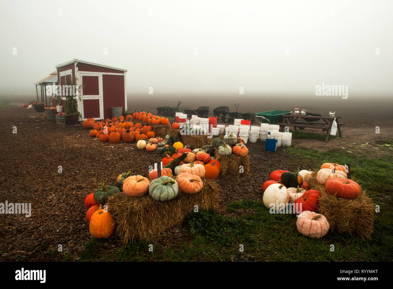 Washington state farm stand hi-res stock photography and images - Alamy